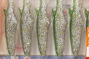 エコギア／BTS 3－3／4”